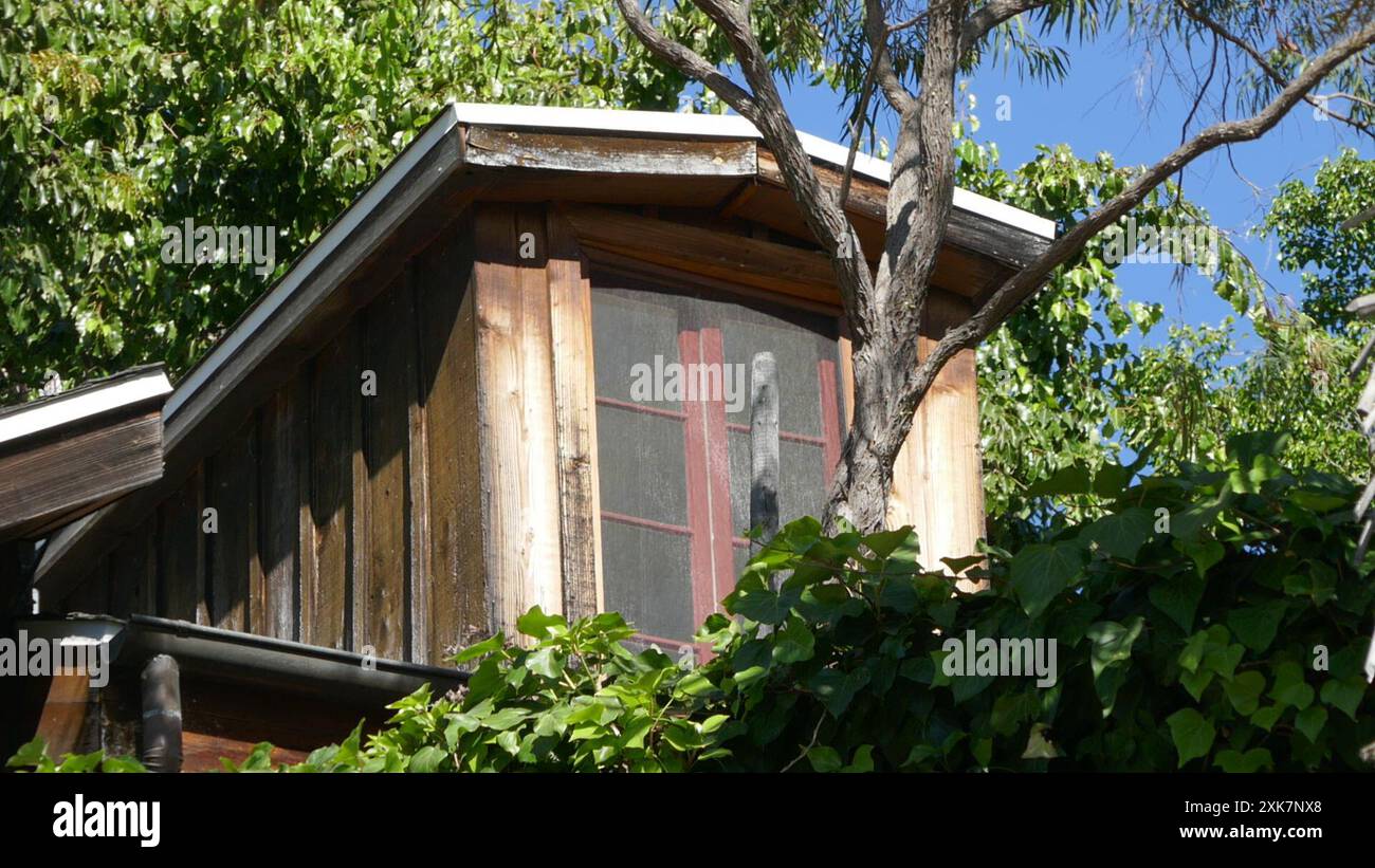 Los Angeles, California, USA 19th July 2024 Singer Orville Peck (Daniel ...