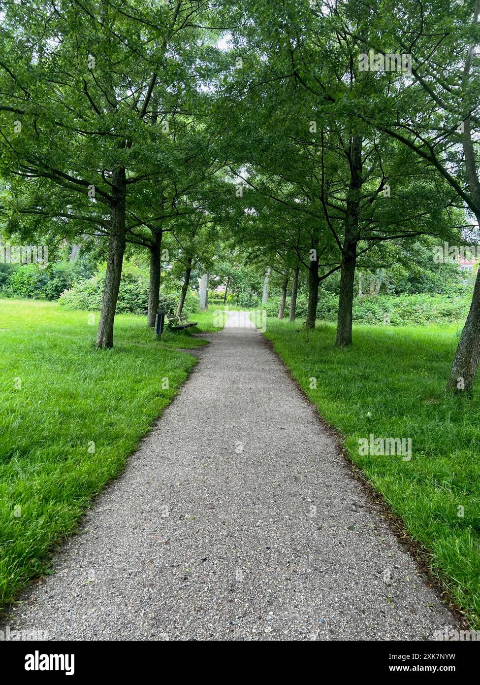 Picturesque view of pathway among trees and green grass Stock Photo - Alamy