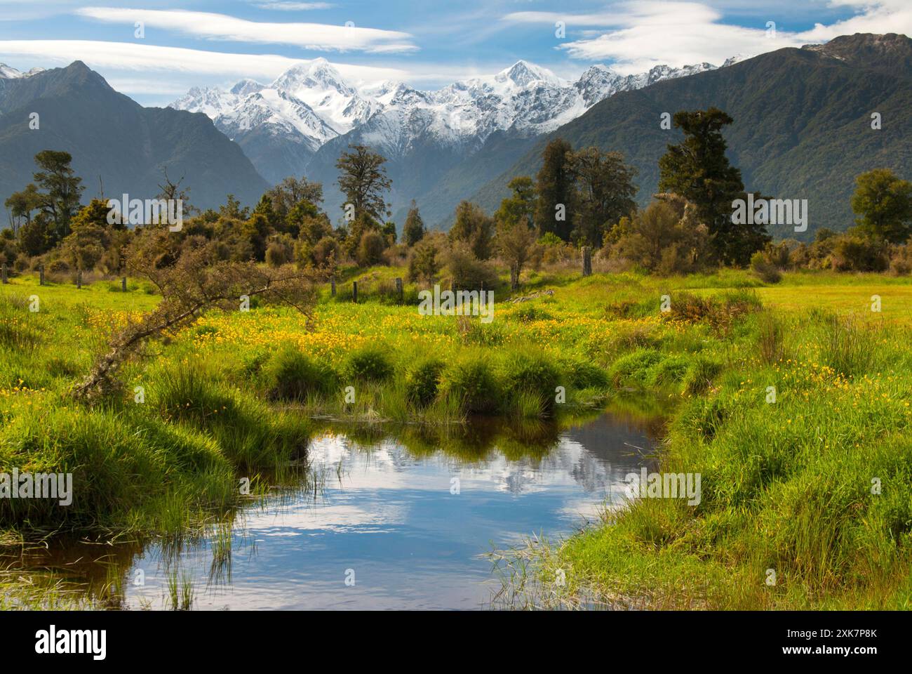 Mount Tasman and Mount Cook view from road path to Lake Matheson near ...