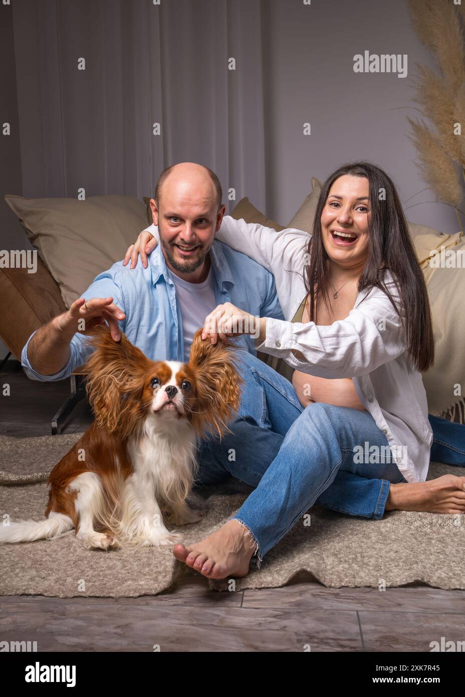 A family expecting a baby is having fun with their dog, a cocker ...
