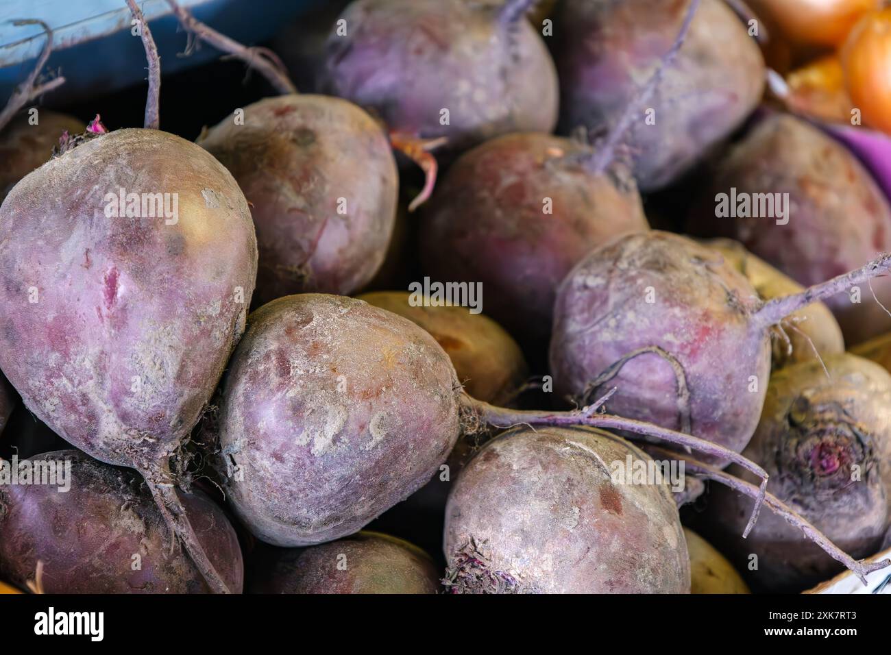 Organic vegetables in farmer street market. Fresh raw red beets in a ...