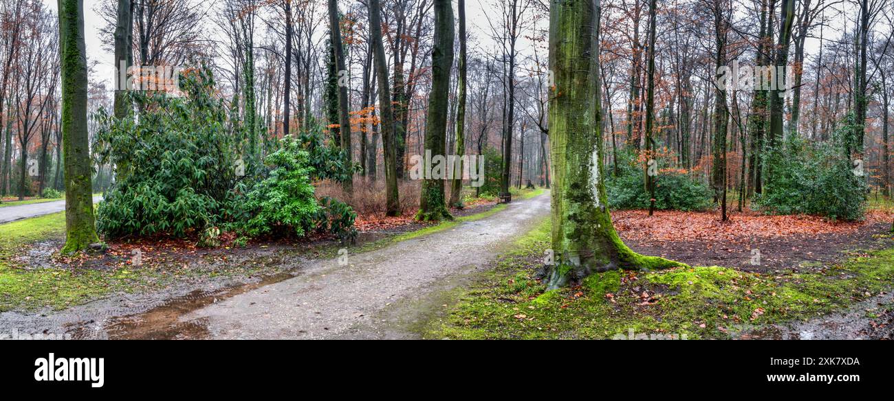 Natural landscape - park with trees and paths next to the Augustusburg ...