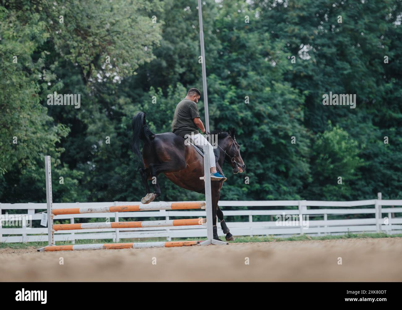 Male equestrian riding a horse during a show jumping competition in an ...