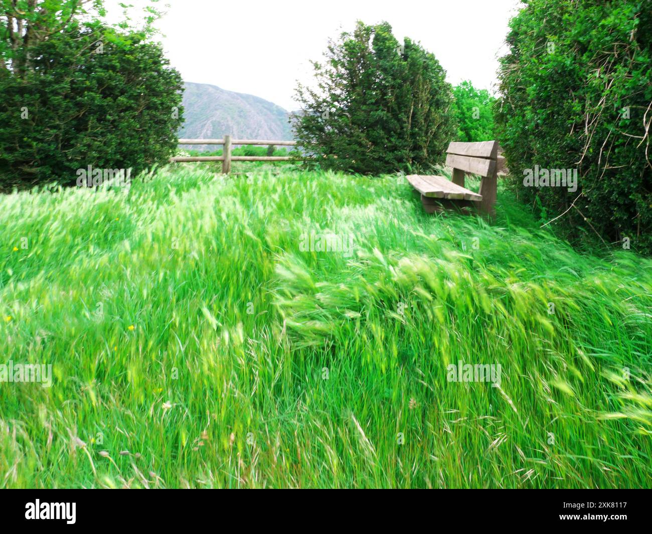 Bench on meadow green hi-res stock photography and images - Alamy