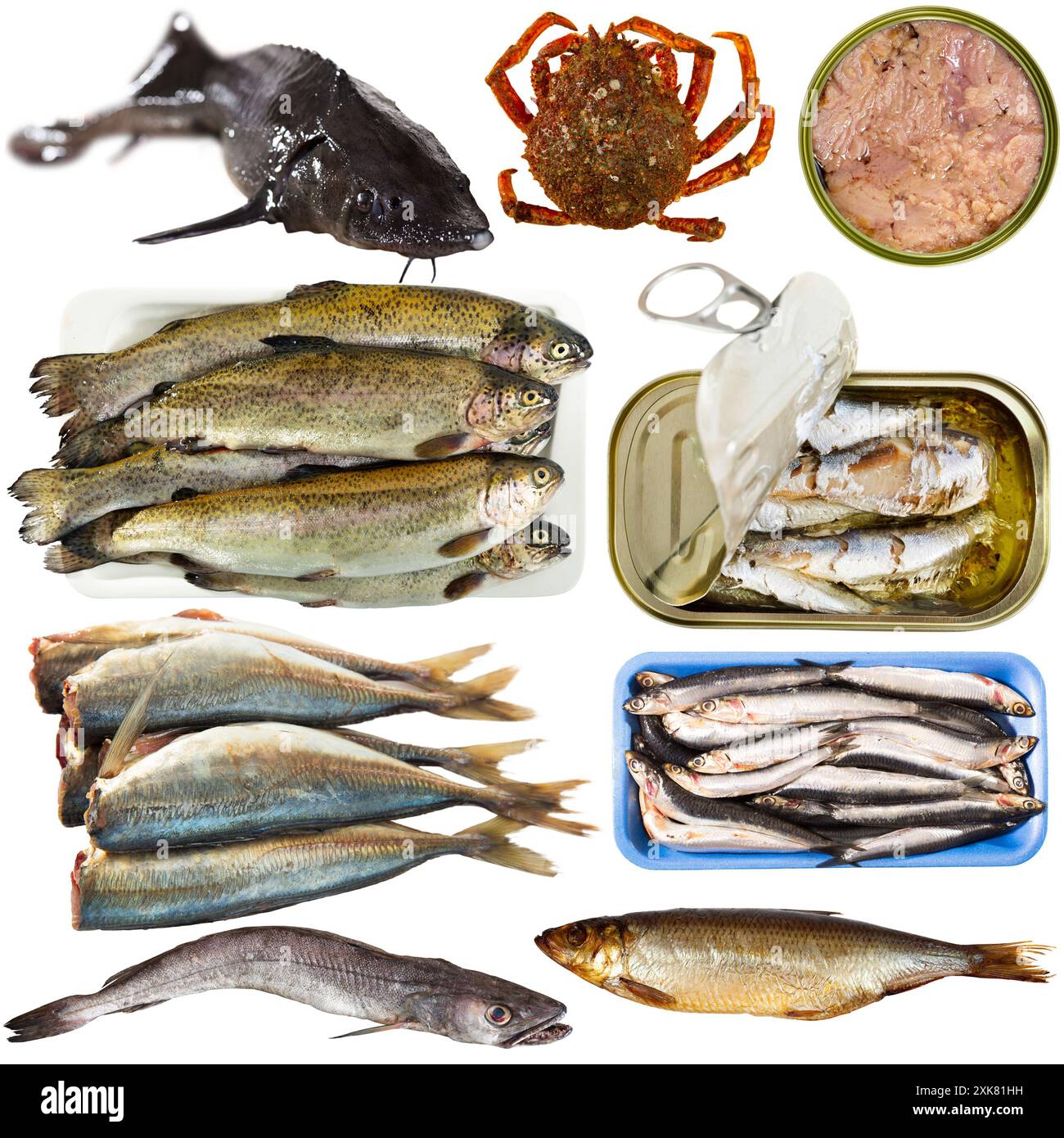 Home canned fish Cut Out Stock Images & Pictures - Alamy
