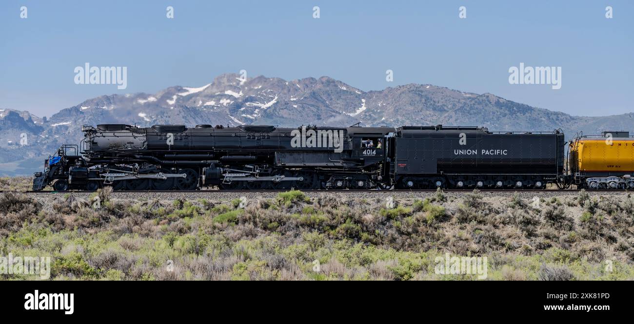 Union Pacific steam locomotive 4014 passes the Ruby Mountains west of ...