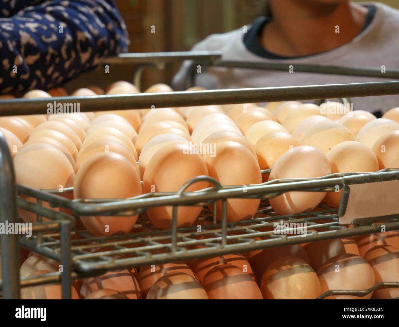 Eggs moving on automated production hi-res stock photography and images ...