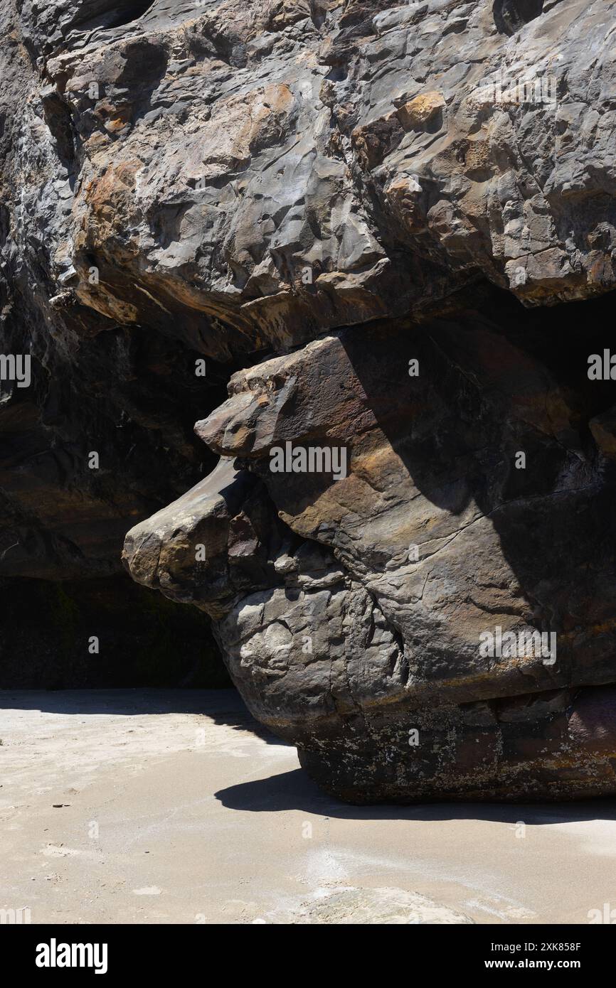 A large boulder that looks like the face of a man with a large nose ...