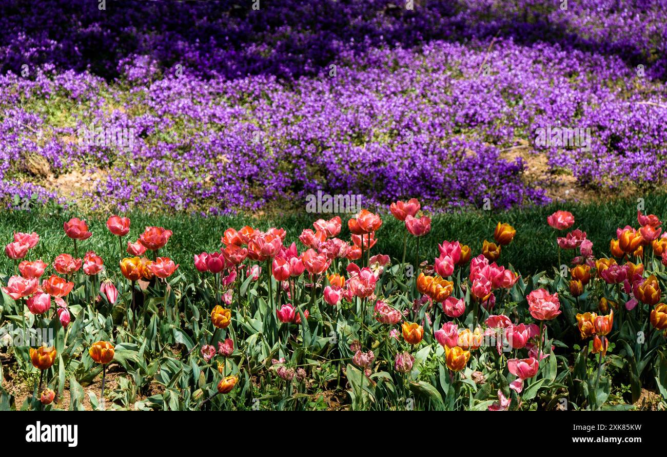 Botanical Garden bright floral gardens colors in full bloom Stock Photo ...