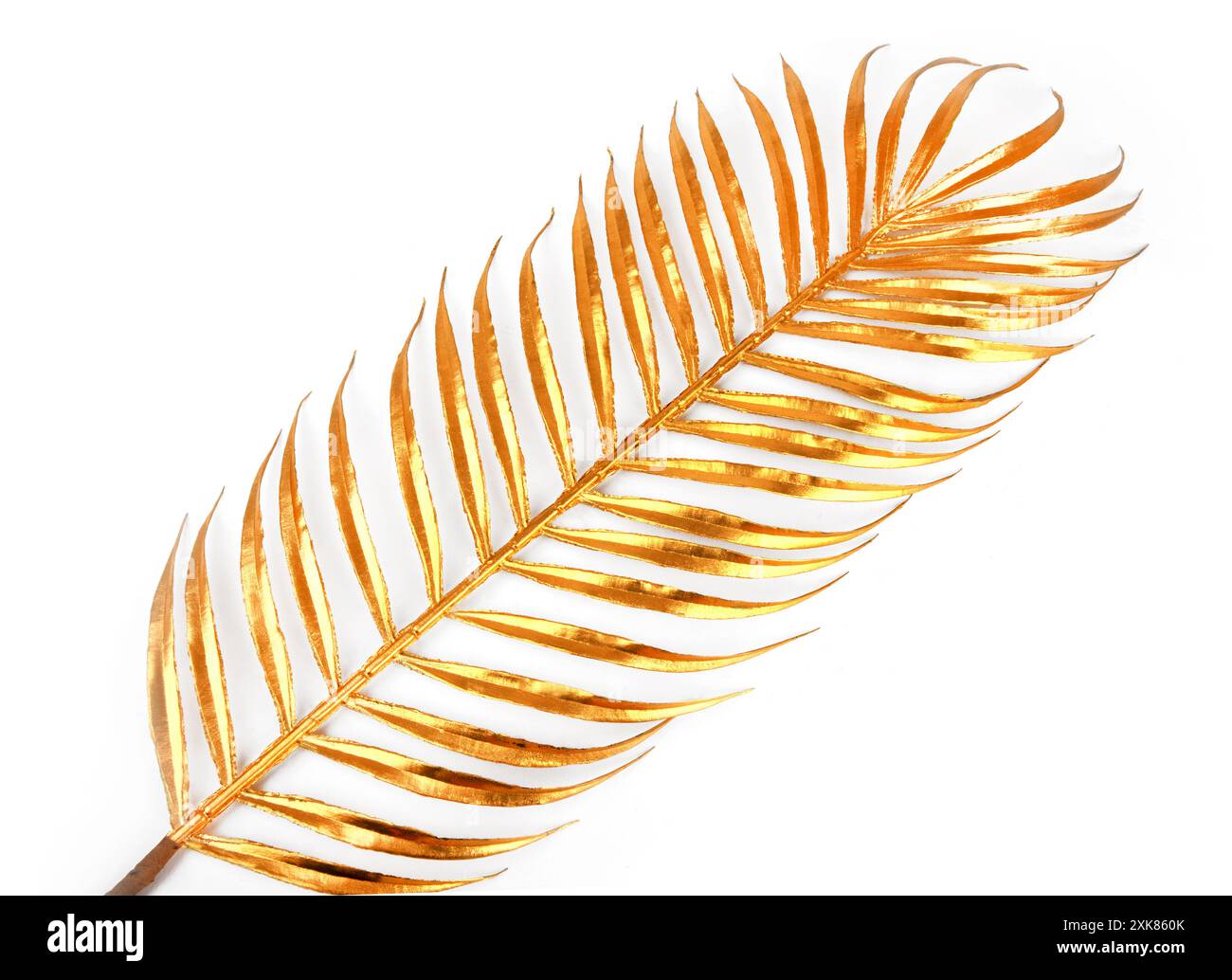 Golden palm tree leaf branch isolated on white Stock Photo - Alamy
