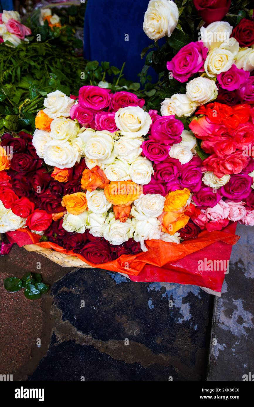 Tlacolula en oaxaca hi-res stock photography and images - Alamy