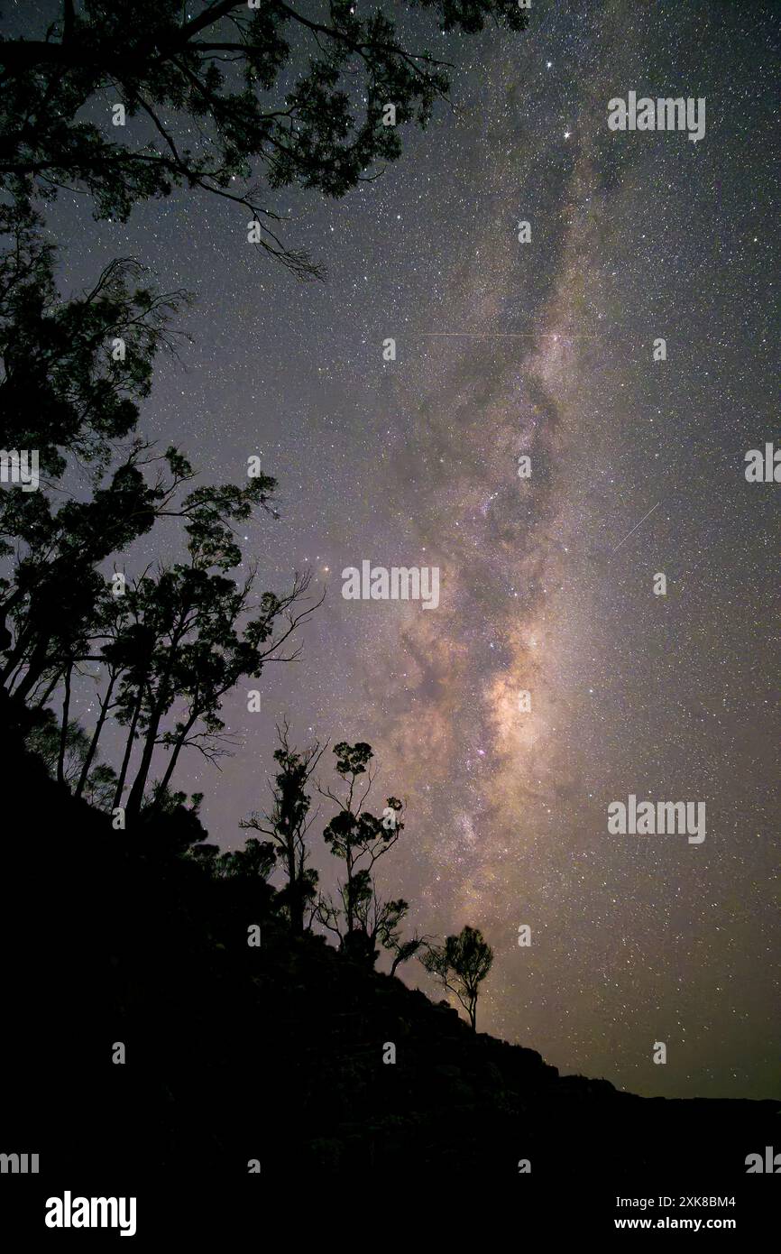 Galactic bulge of Milky Way stars at night with cliff and trees at Alum ...