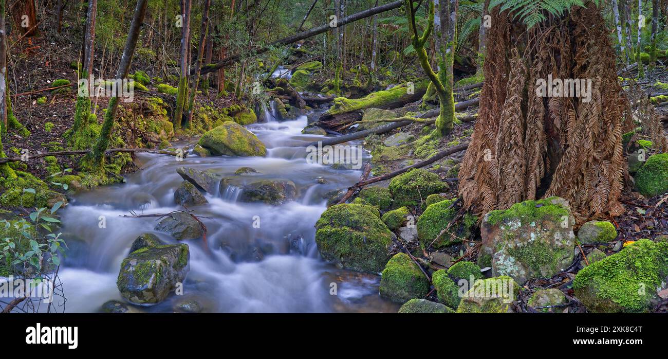 Panorama view long exposure photo of rapids cascades on Cascade track Guy Fawkes Hobart Rivulet ...