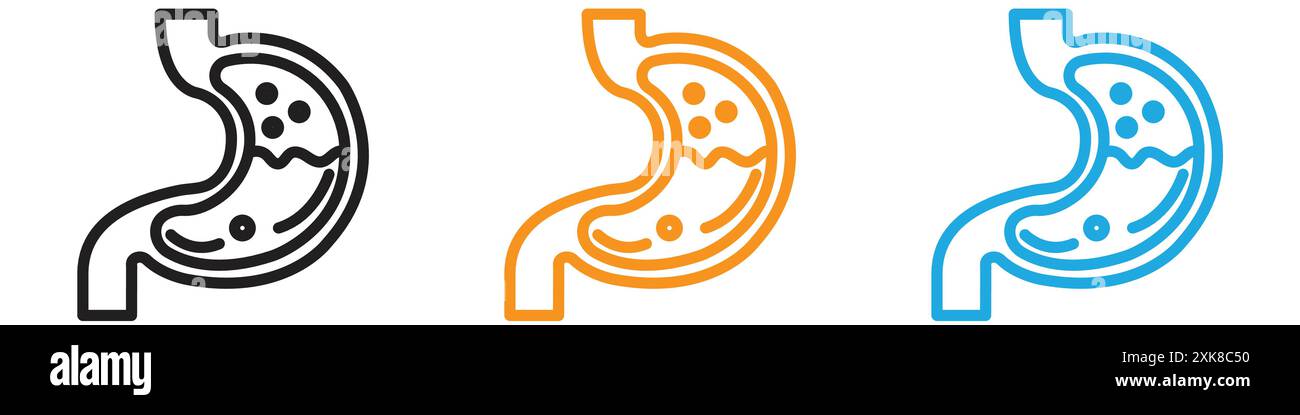 Stomach icon vector logo set collection or bundle pack group Stock ...