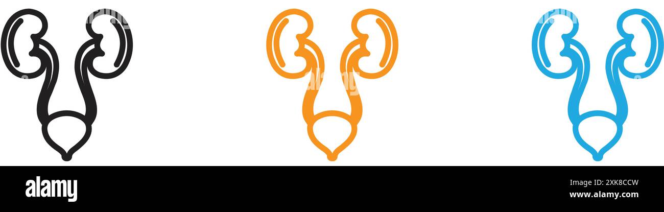 Urinary system icon vector logo set collection or bundle pack group ...