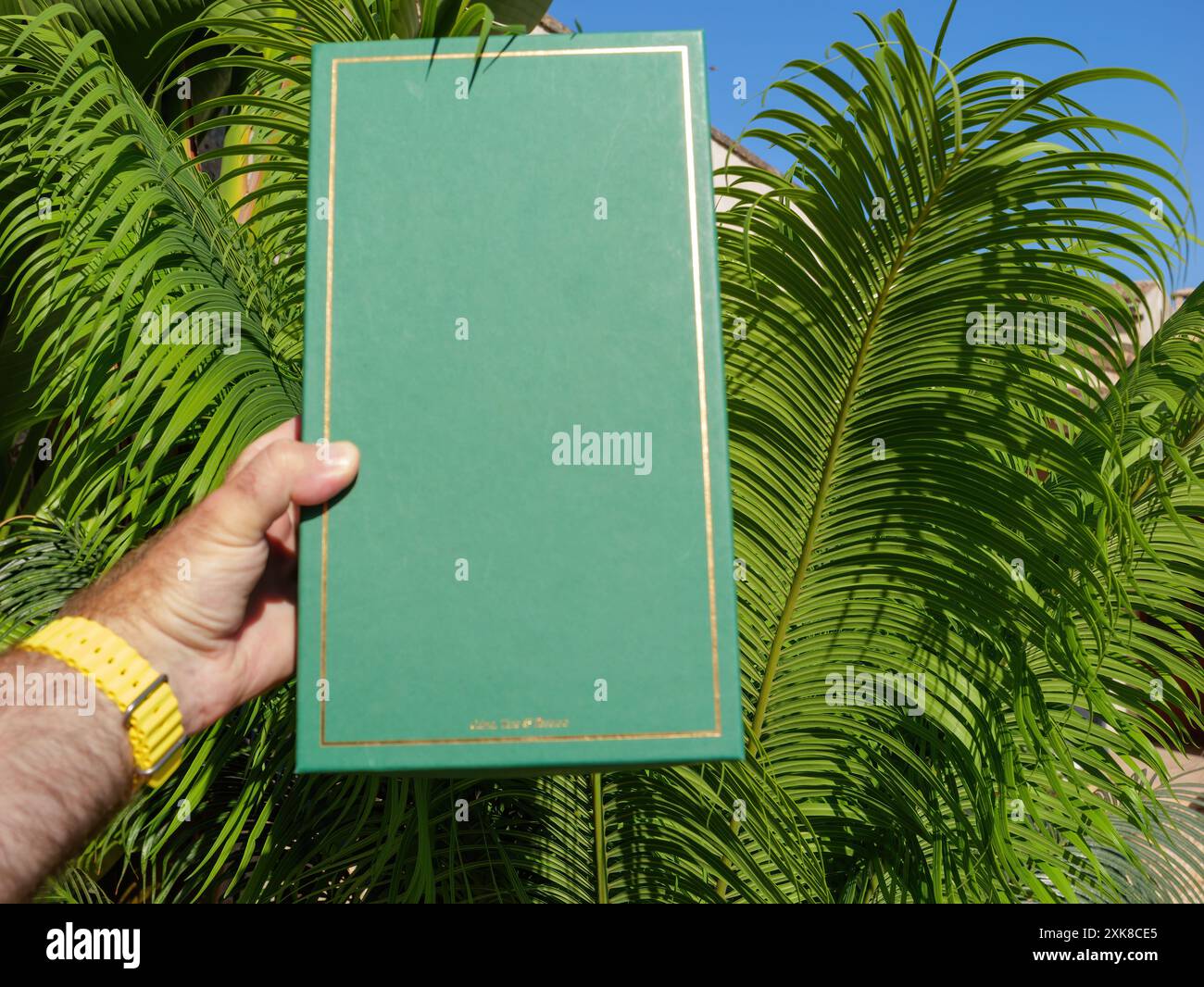 Visually intriguing scene hi-res stock photography and images - Alamy