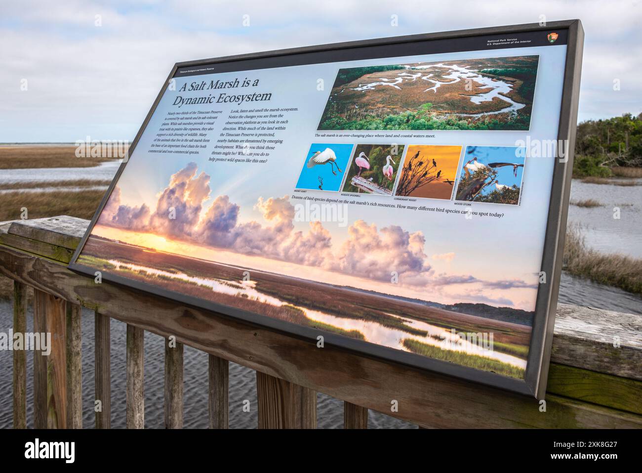 Salt marsh observation deck on an oyster midden along the St. Johns ...