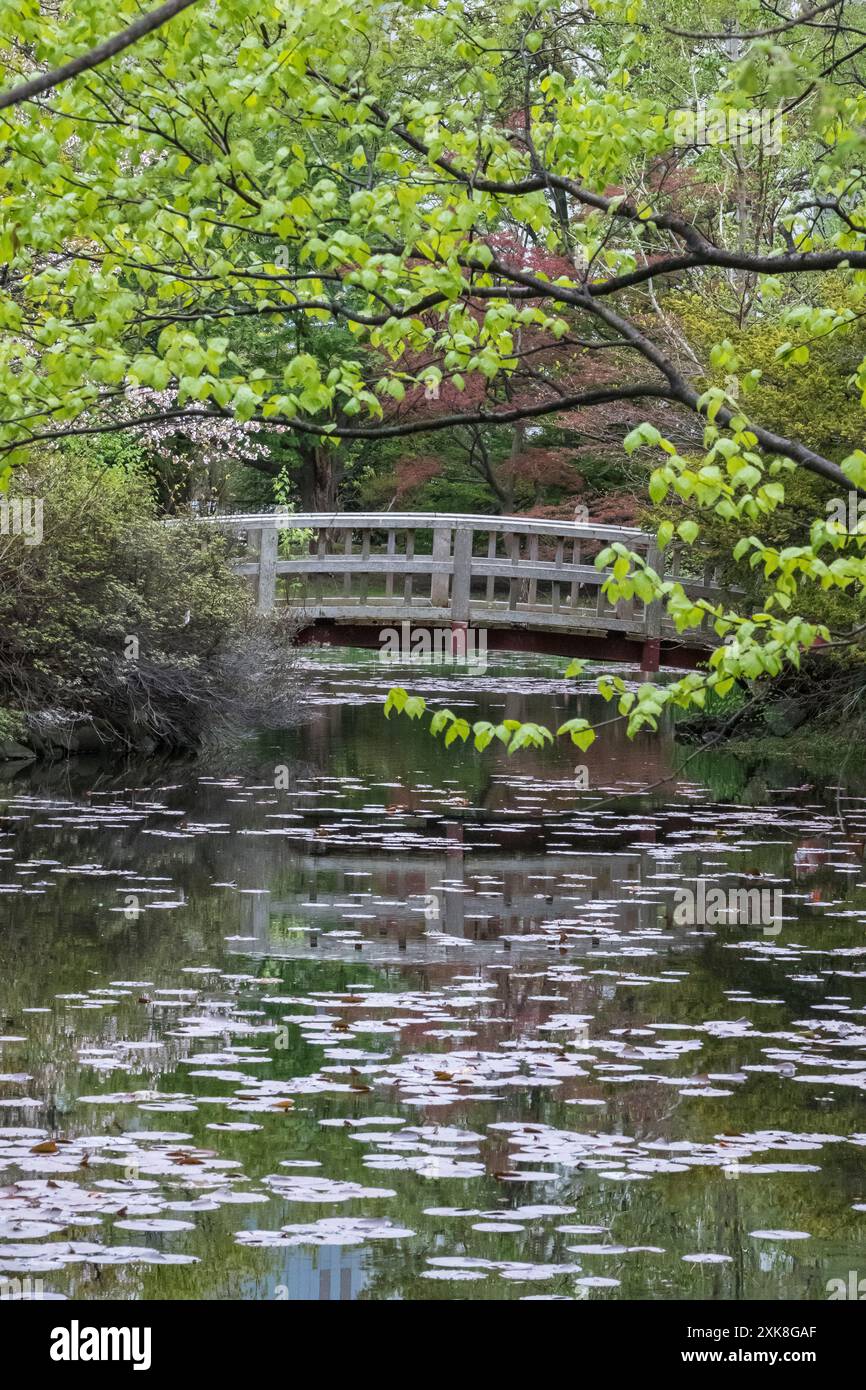Early spring in the grounds of the former Hokkaido Government Office ...