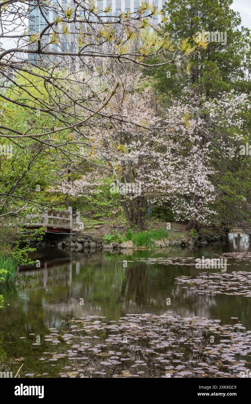 Early spring in the grounds of the former Hokkaido Government Office ...