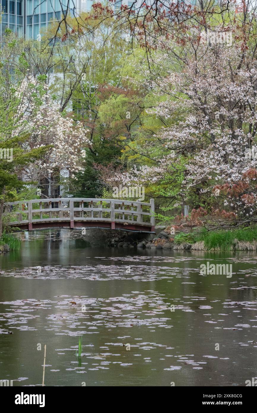 Early spring in the grounds of the former Hokkaido Government Office ...