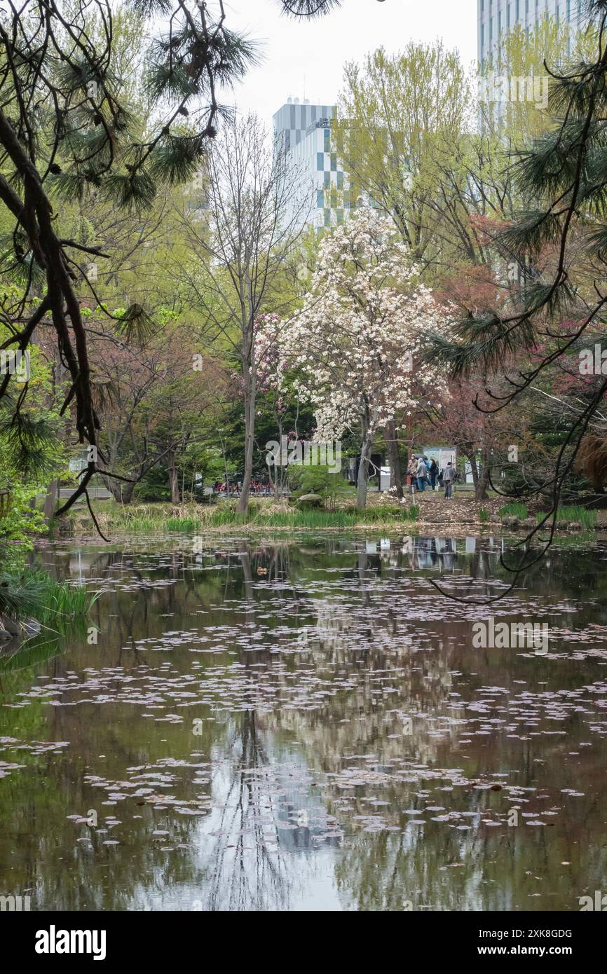 Early spring in the grounds of the former Hokkaido Government Office ...