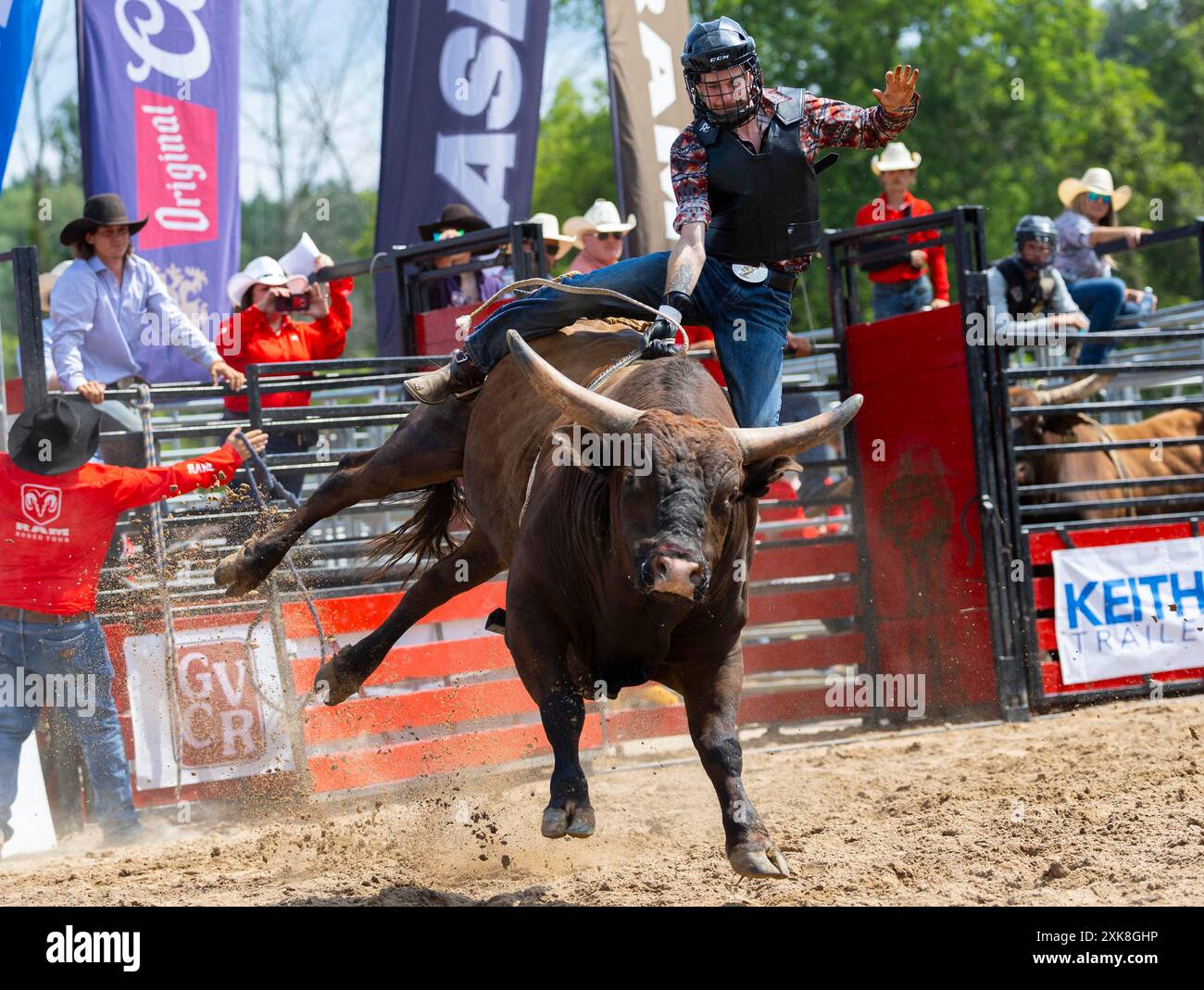 Erin, Canada. 21st July, 2024. A cowboy competes in the bull riding ...