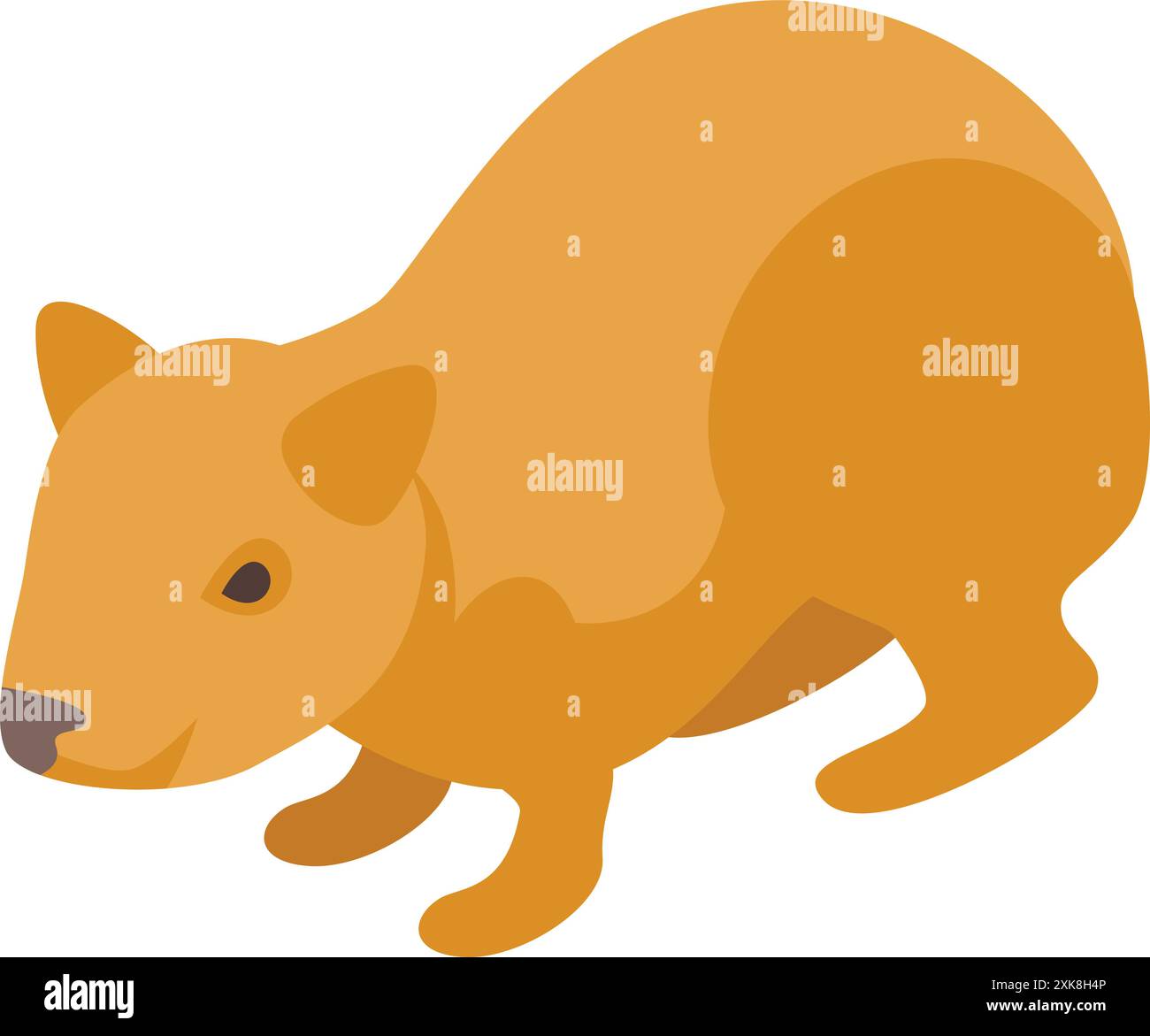 Australian wombat in natural Cut Out Stock Images & Pictures - Alamy