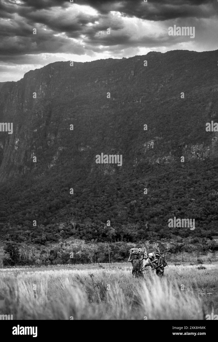 Native women walking in the forest carrying harvested bananas, La Gran ...