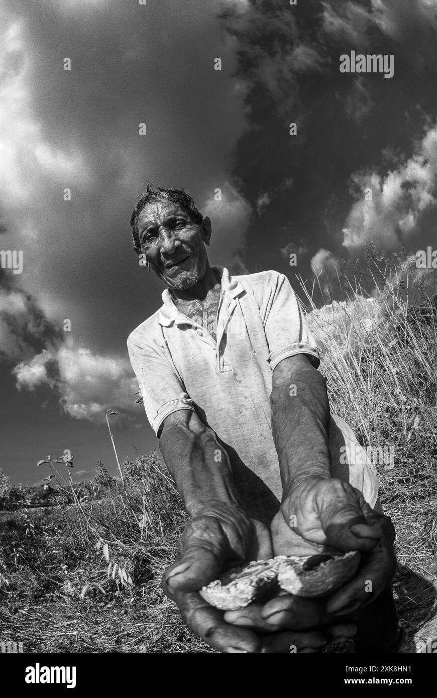 Native man holding a cracked open Sarrapia fruit or Diphysa punctata ...