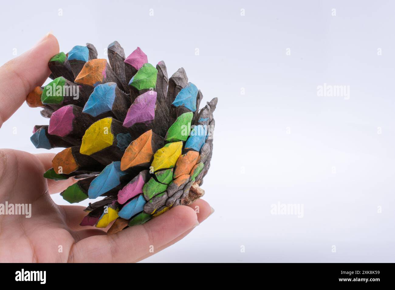 Pine cone in hand on a white background Stock Photo - Alamy