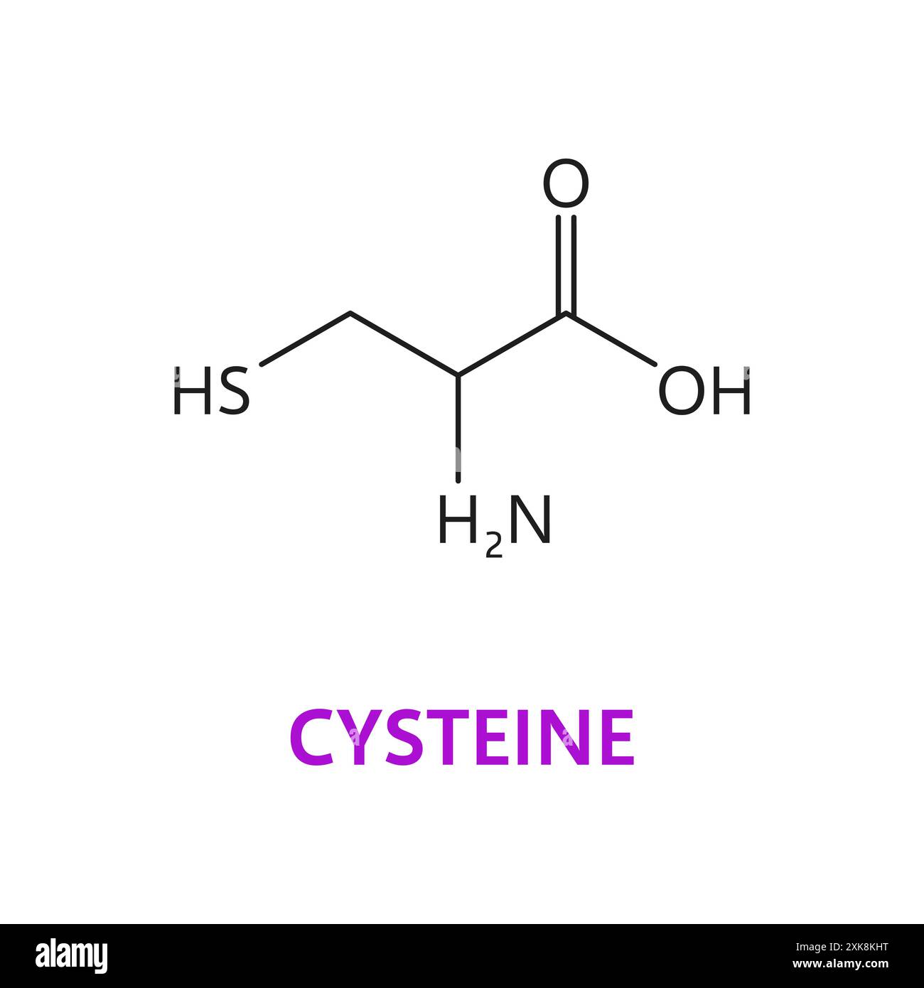 Cysteine amino acid chemical molecule, essential chain structure ...