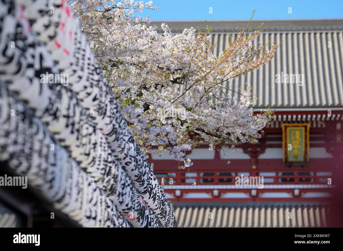 The scenic precinct of the Sensoji Temple in Asakusa during the cherry ...