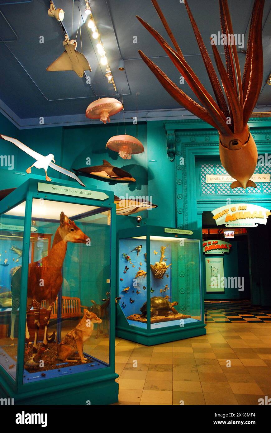 A giant squid and other land and sea animals complete an exhibit at the ...