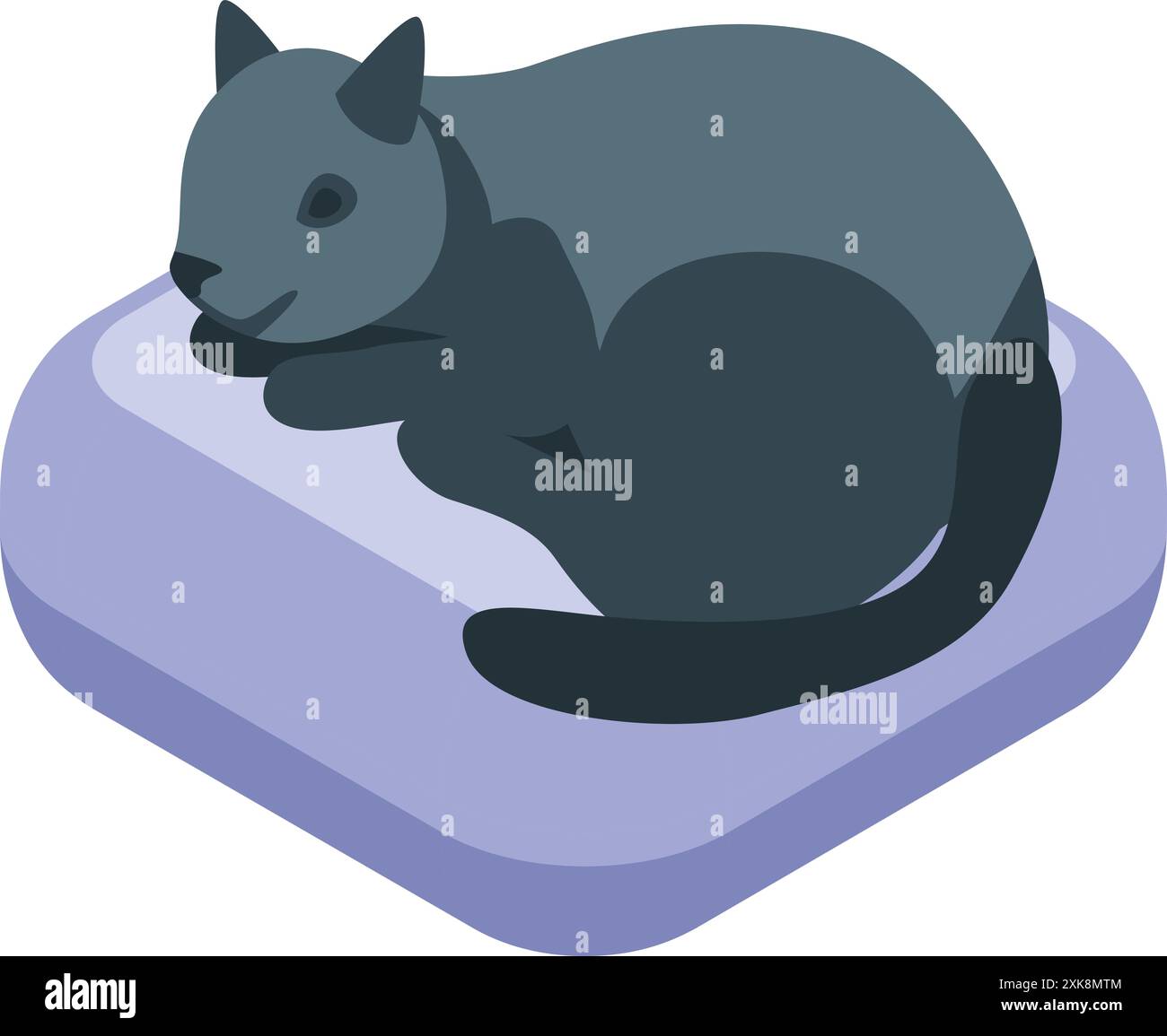 Grey cat taking a nap lying on a pillow, isometric illustration Stock ...
