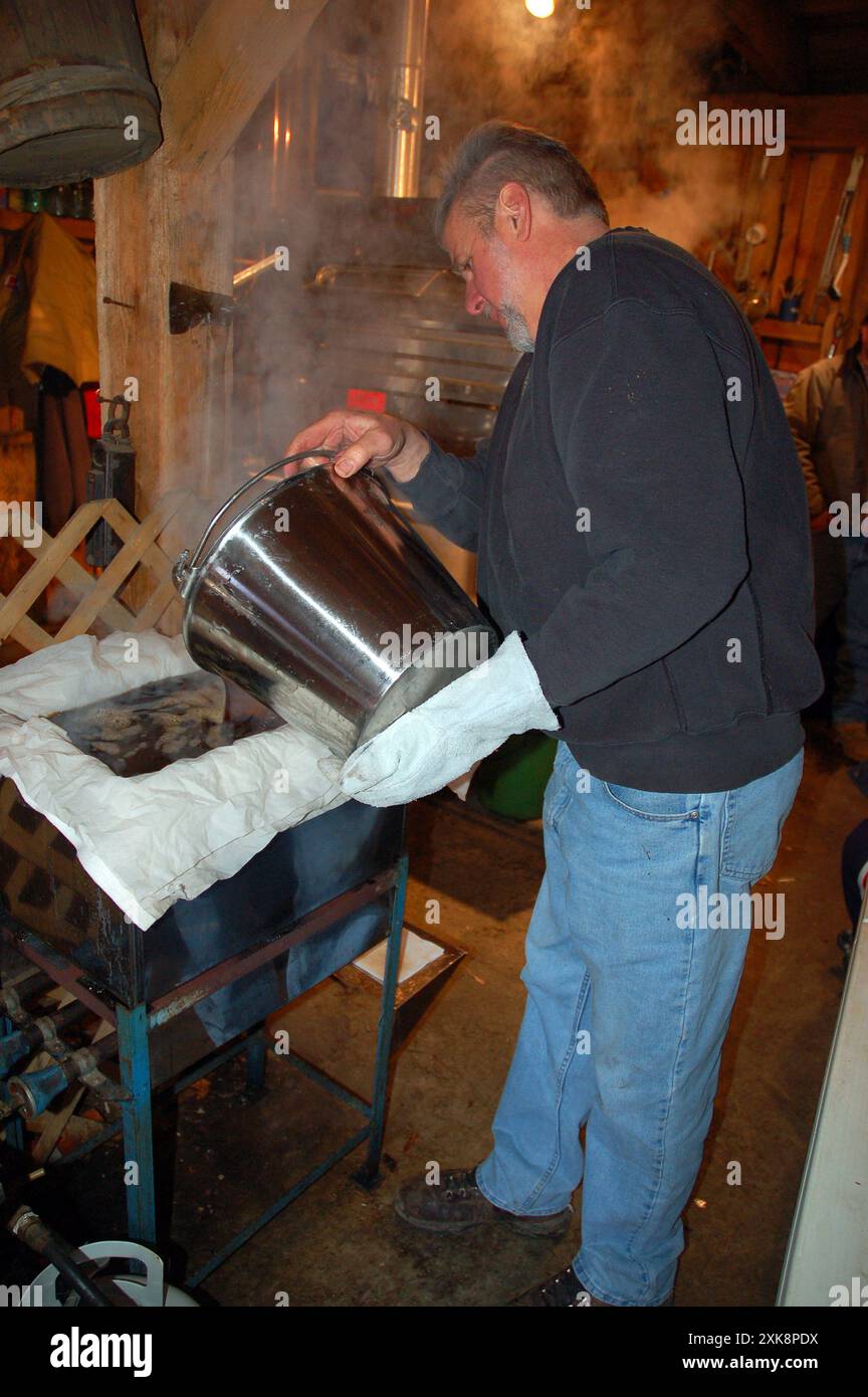 A worker pours the sap into a vat, the beginning steps to make pure ...