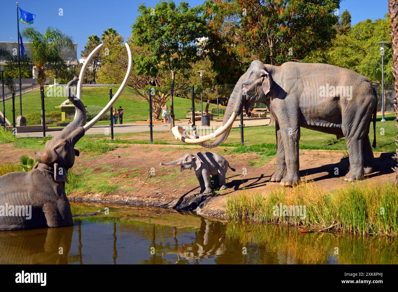 A scene depicts a mammoth getting stuck in the La Brea Tar Pits in ...