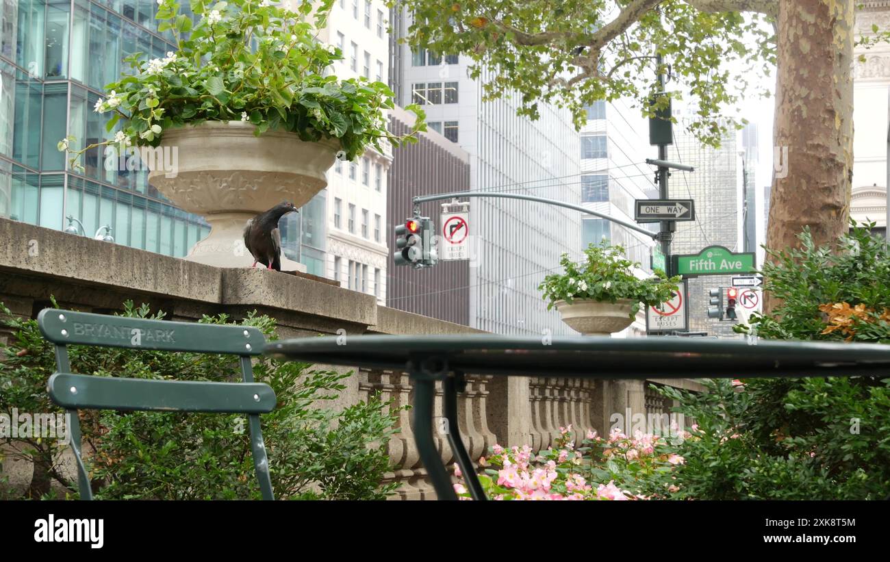 Fifth avenue, 5 ave road sign, Manhattan midtown architecture, New York ...