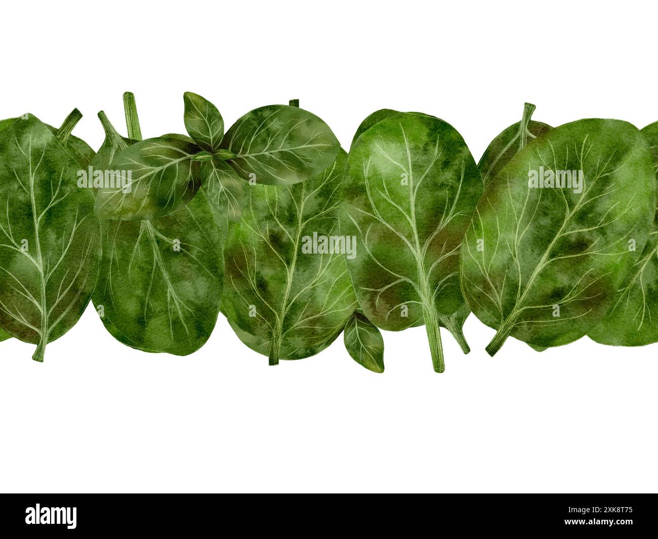 Seamless pattern with spinach leaves, great for backgrounds or ...