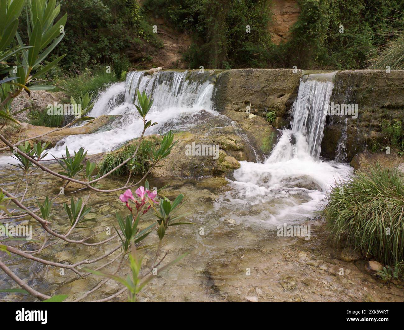 El gorgo de ladder hi-res stock photography and images - Alamy