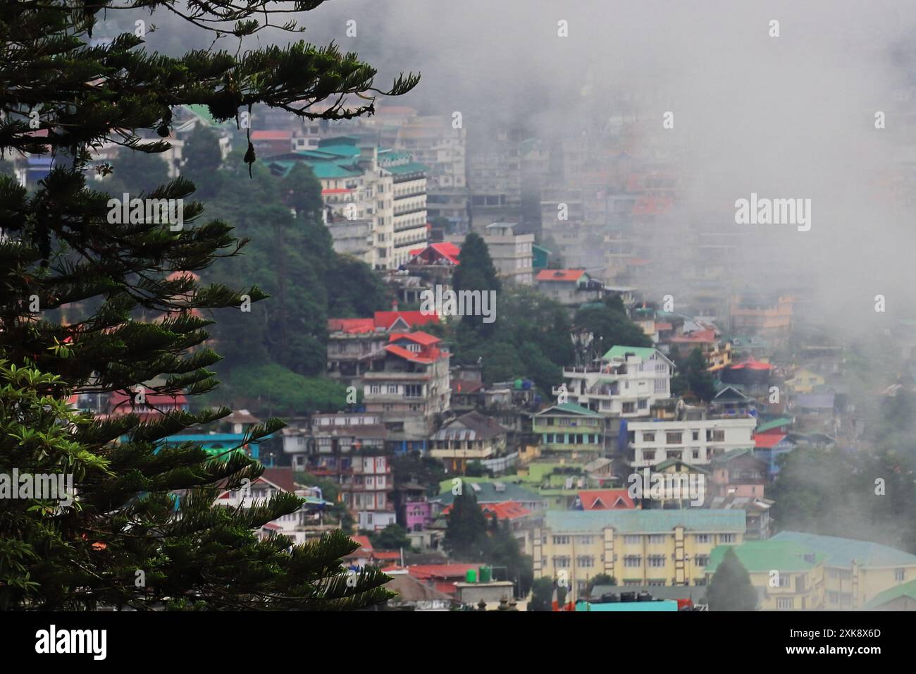 clouds are floating over beautiful darjeeling hill station in monsoon ...
