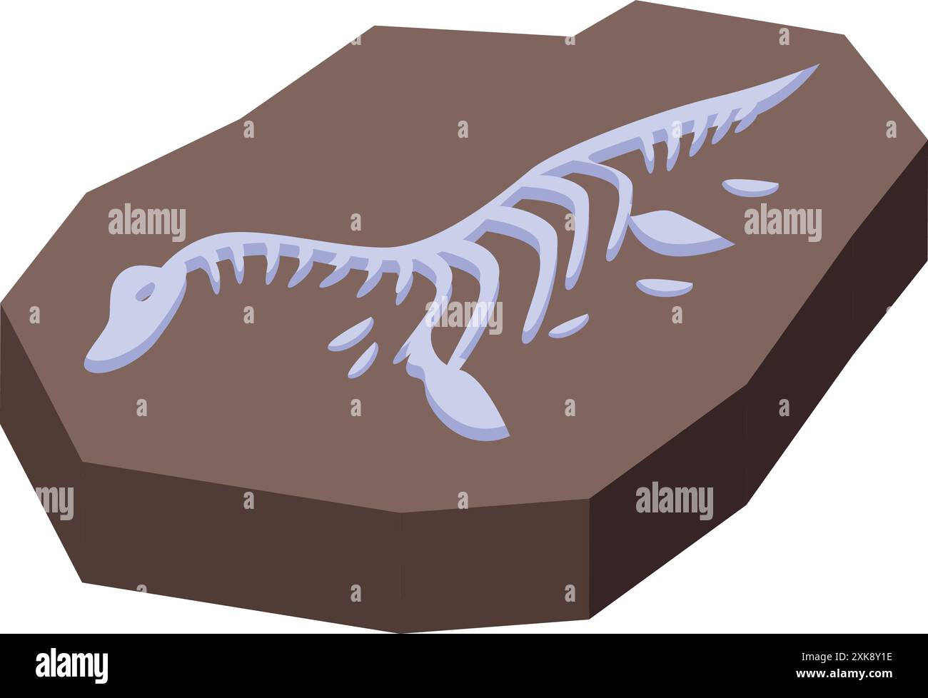 Dinosaur fossil in stone showing its skeleton imprint from paleontology ...