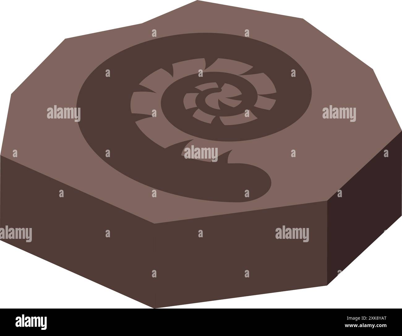 Ammonite drawing Stock Vector Images - Alamy
