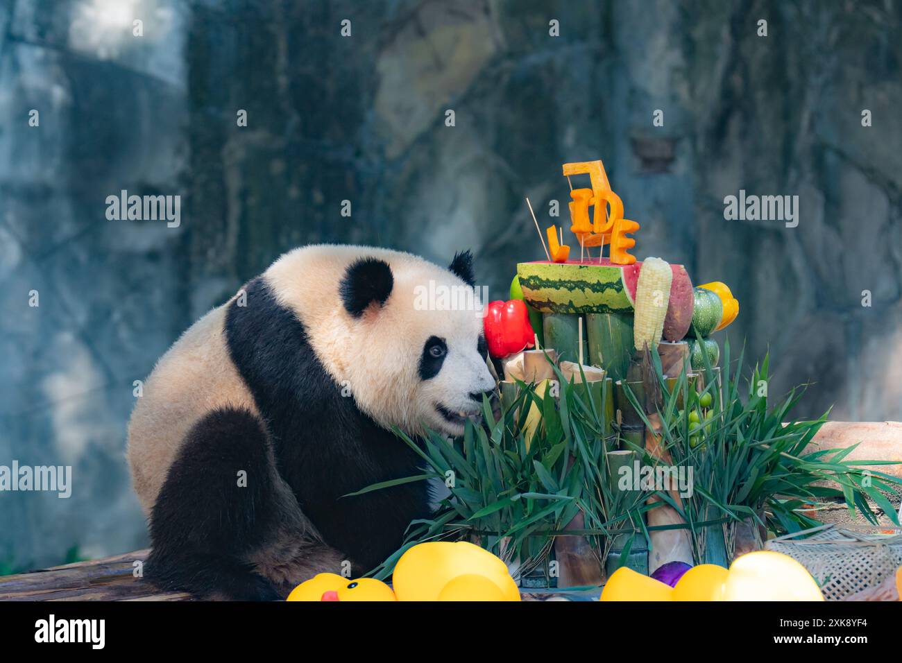 CHONGQING, CHINA - JULY 22, 2024 - Giant panda Yu Ke and Yu 'ai ...