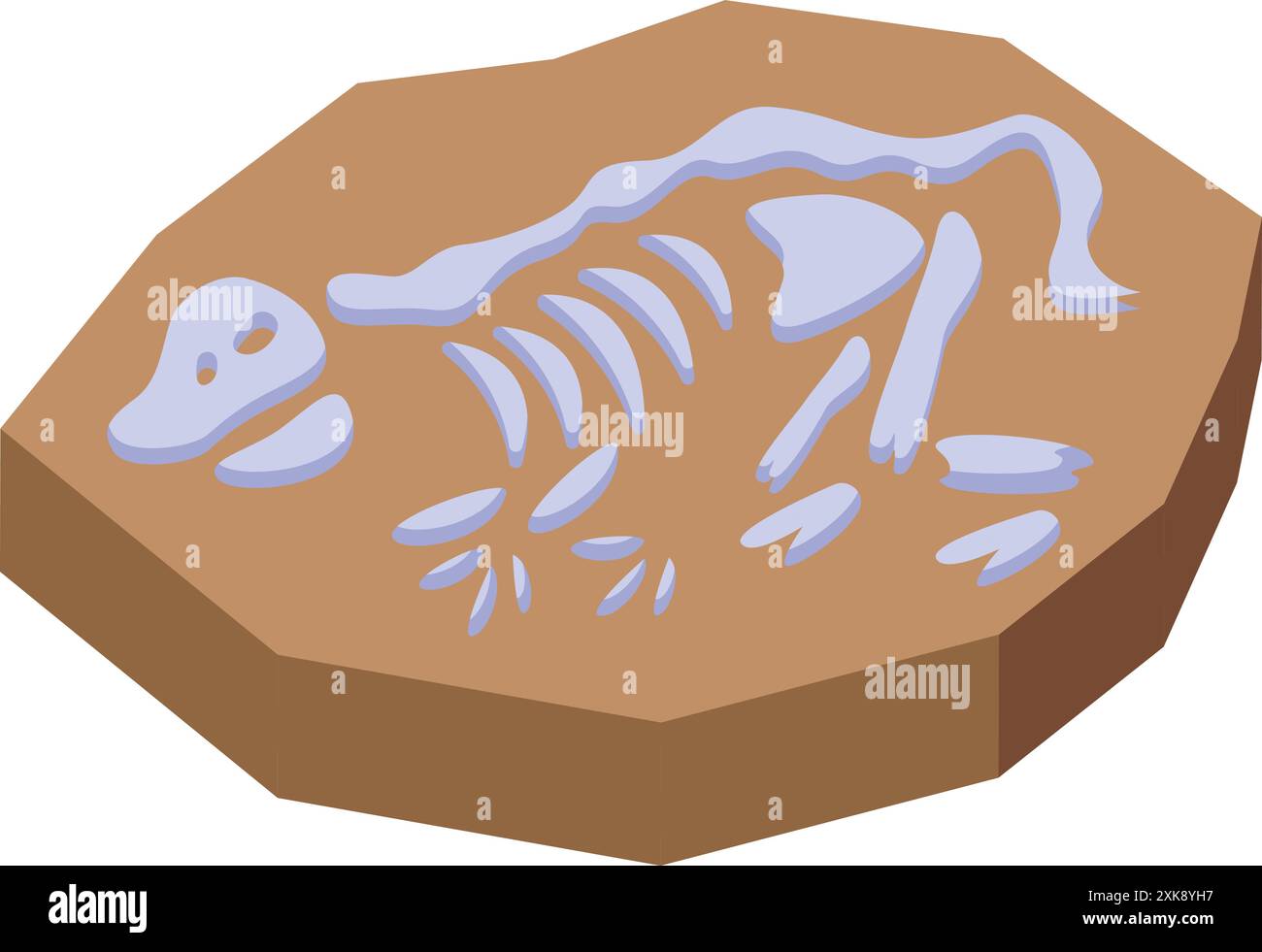 Paleontology skeleton fossil showing prehistoric animal bones ...