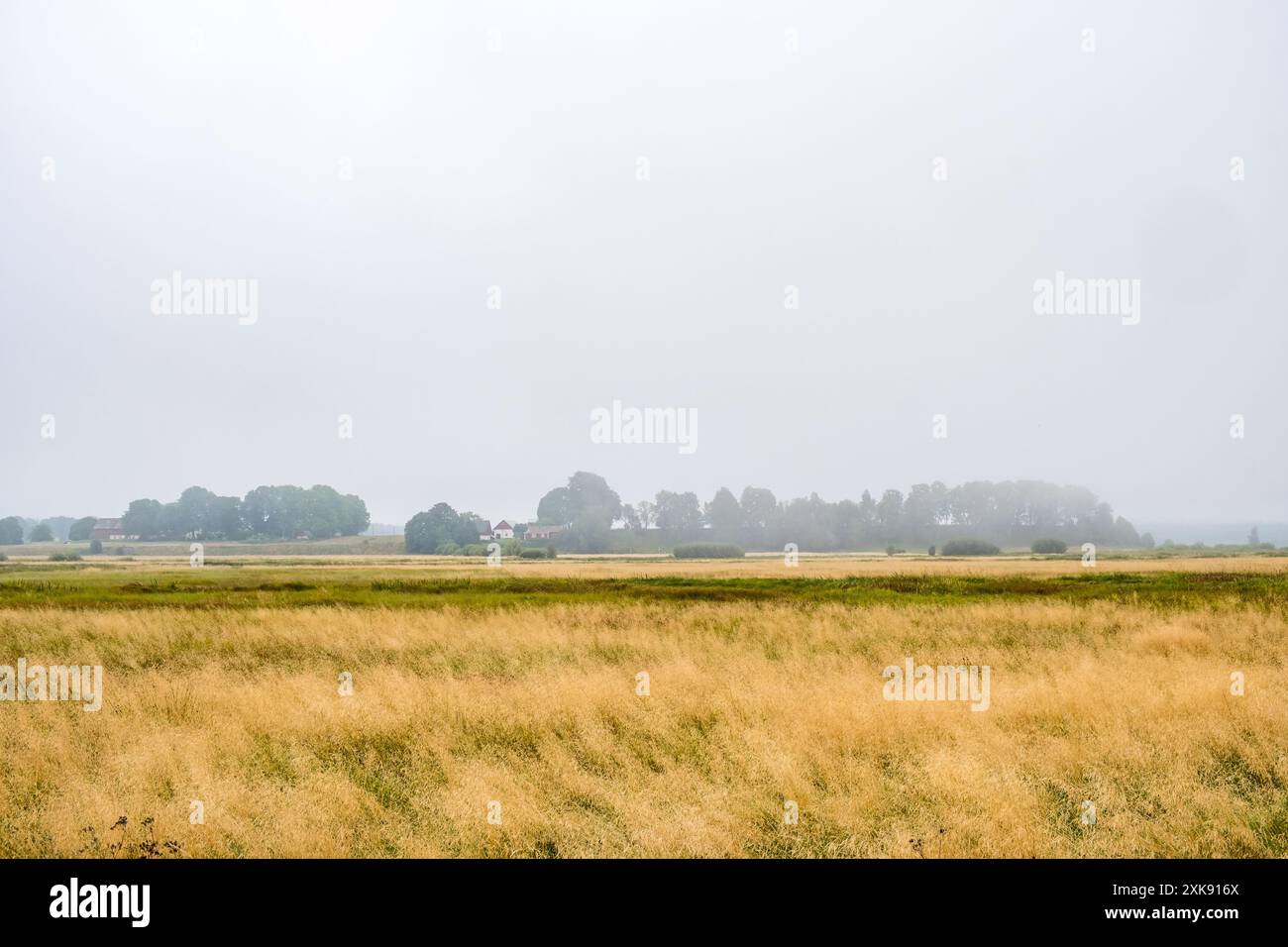 Grassland and dry heath hi-res stock photography and images - Alamy