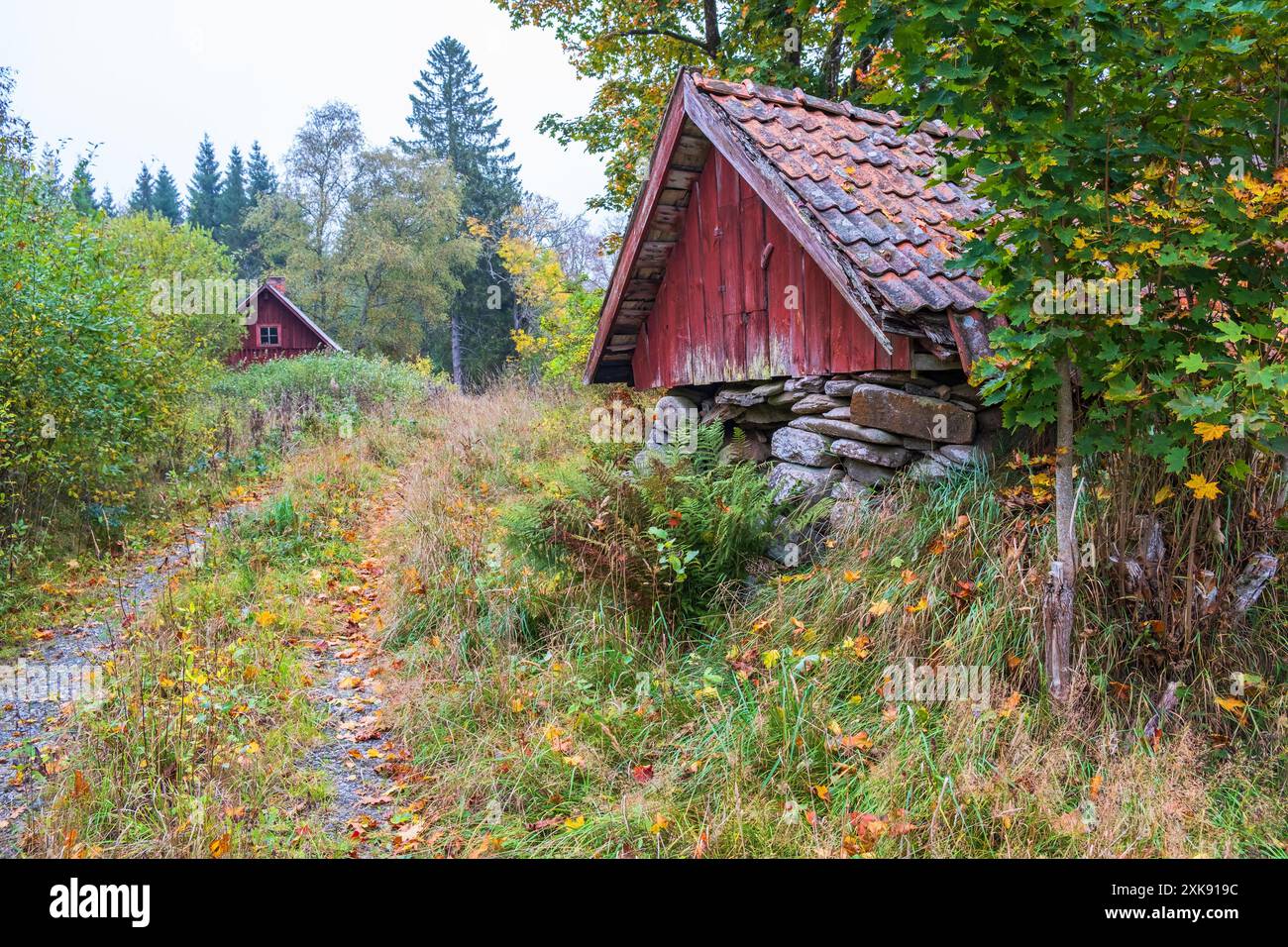Dirt cellar hi-res stock photography and images - Alamy