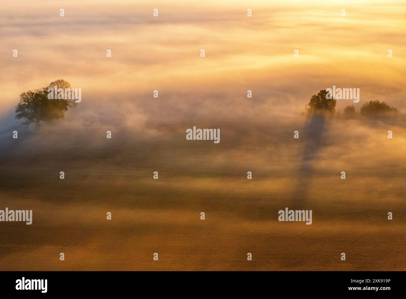 Aerial view at a sunrise with mist and treetops Stock Photo - Alamy