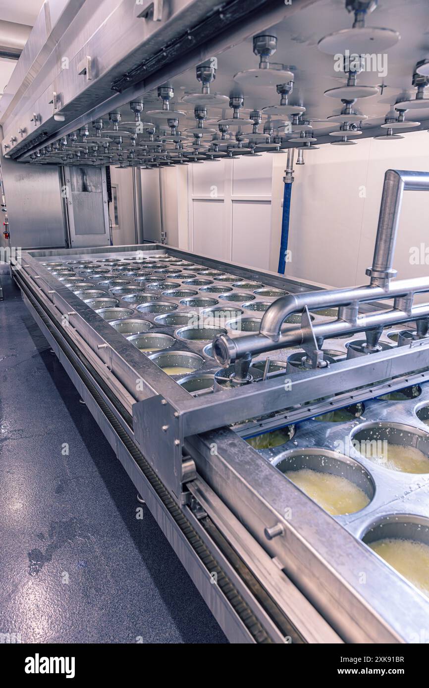 Industrial cheese making machine pressing curd into molds in dairy ...