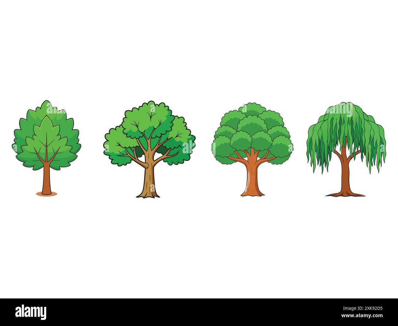 Tree set different types illustration Stock Vector Image & Art - Alamy Tree set different types illustration Stock Vector Image & Art - Alamy