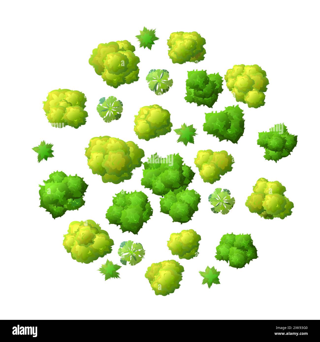 Trees and shrubs. View from above. View from copter or helicopter ...